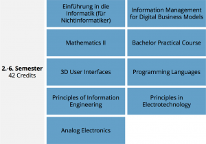 B.Sc. in Management & Technology - TUM SOM